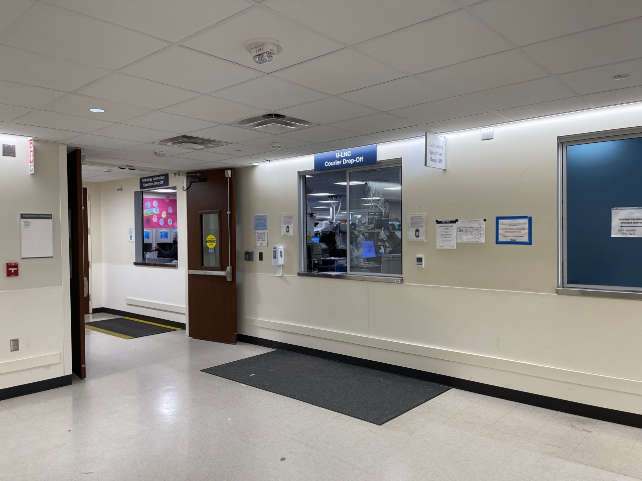 Department of Pathology - Digital Pathology