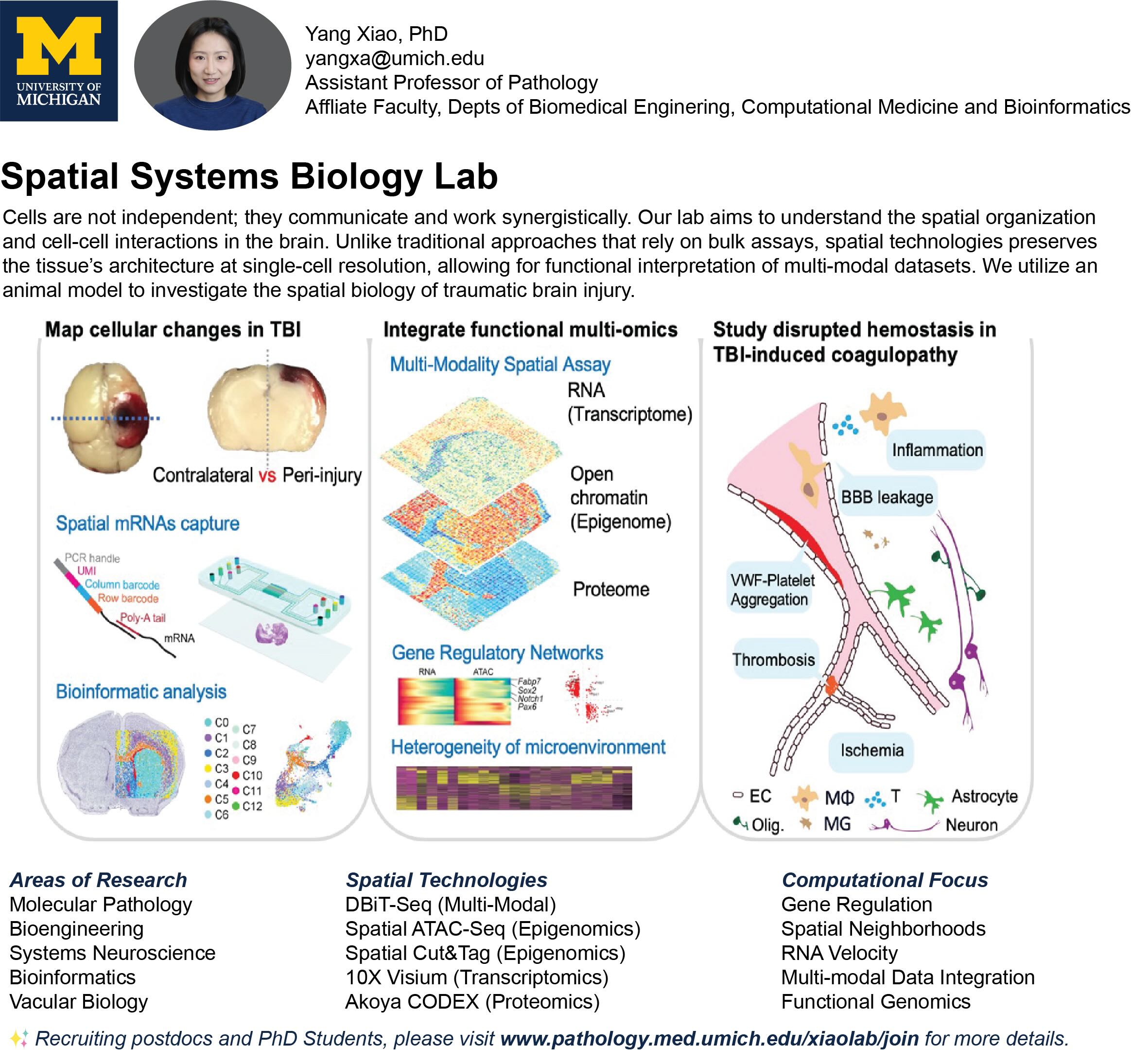 Xiao Lab [Department of Pathology]